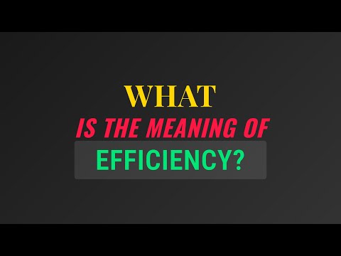 What is the meaning of Efficiency?
