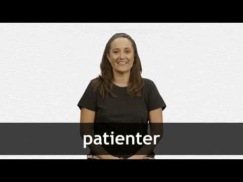 English Translation of “PATIENTER” | Collins French-English Dictionary