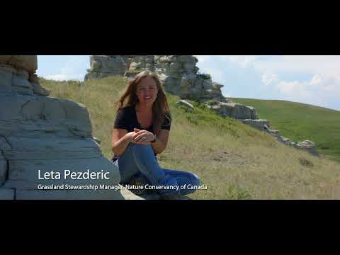 What is a Conservation Easement?