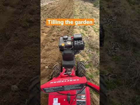 Tilling the garden with the tiller #garden