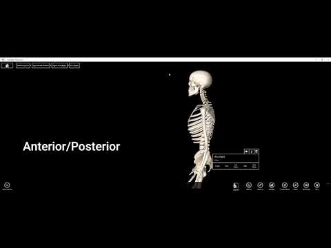Anatomy Directional Terminology
