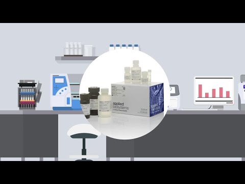 RT PCR Test Kit - PCR Kit Latest Price, Manufacturers & Suppliers