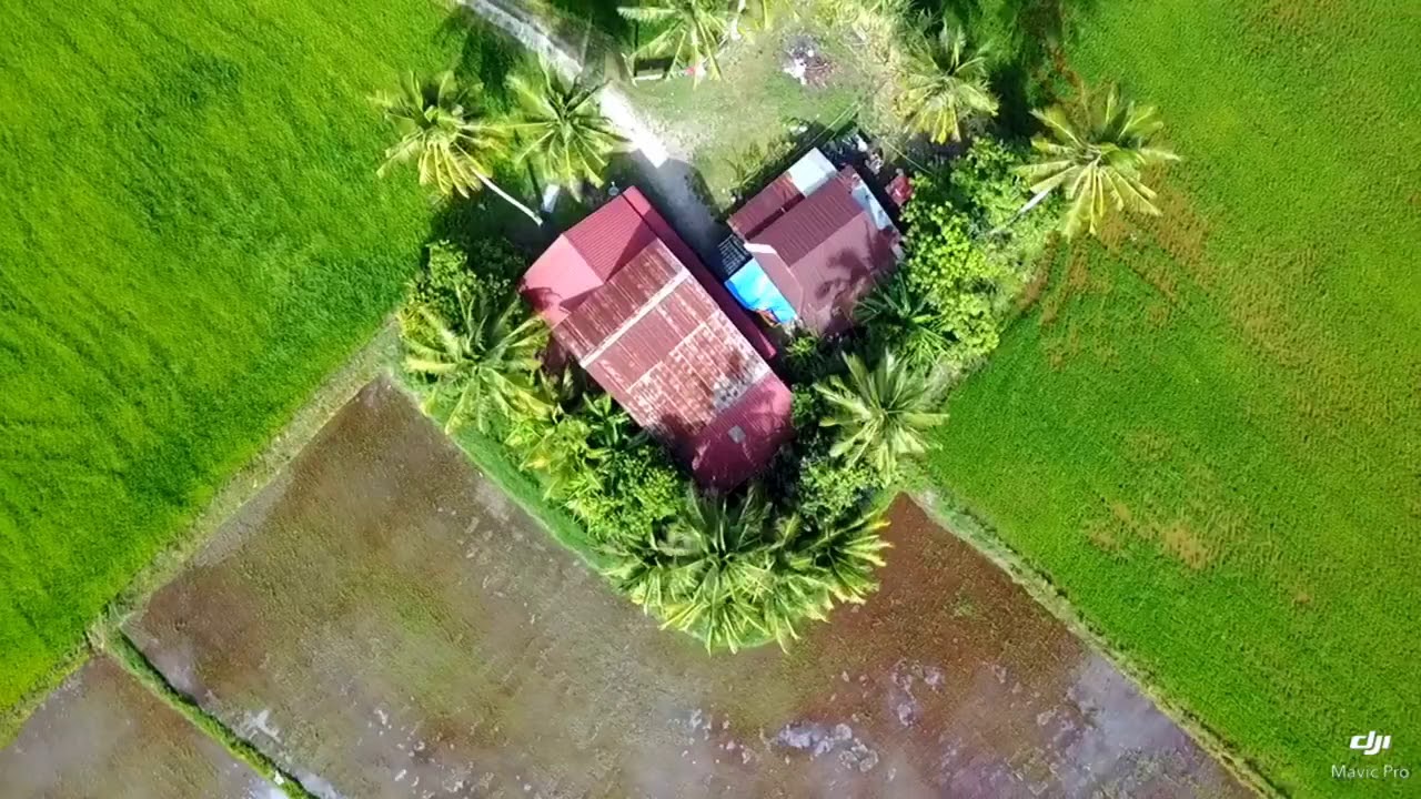 Malaysia Rural Scenery