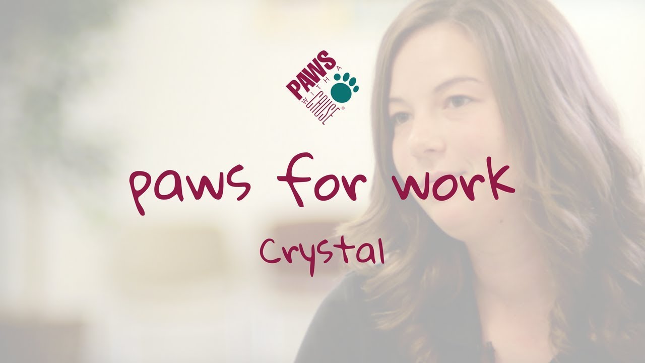 PAWS For Work: Chrystal