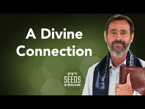A Divine Connection