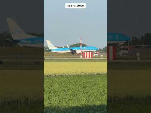 KLM LANDING AMSTERDAM SCHIPHOL AIRPORT / PLANE SPOTTING #airplane #aviation #shortvideo #airport