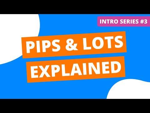 Pips and Lots Explained In 2 Minutes