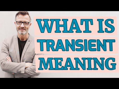 Transient | Definition of transient