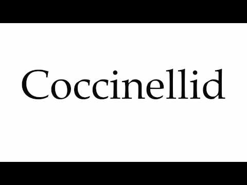 How to Pronounce Coccinellid