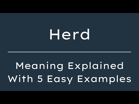 What Does Herd Mean? Herd Meaning in English With 5 Example Sentences
