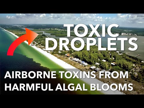 How Microbes Cross the Air-Water Interface from Harmful Algal Blooms & the Water Cycle