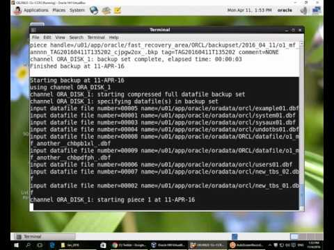 RMAN Backup Commands