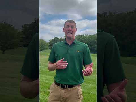 Ask the Agronomist: What is the Best Fertilizer for My Lawn?