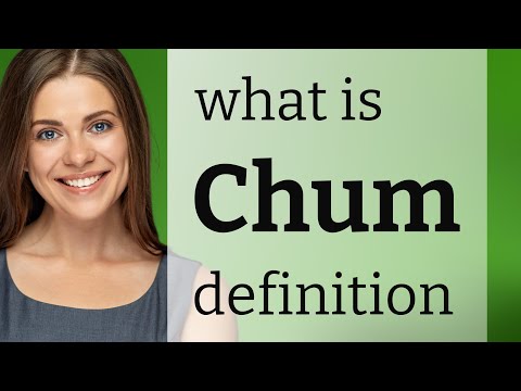 Chum β’ what is CHUM meaning