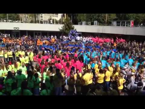 Flash mob in Budapest