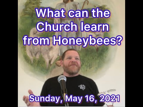 What can the Church learn from Honeybees? Ever heard a sermon at church about bees?