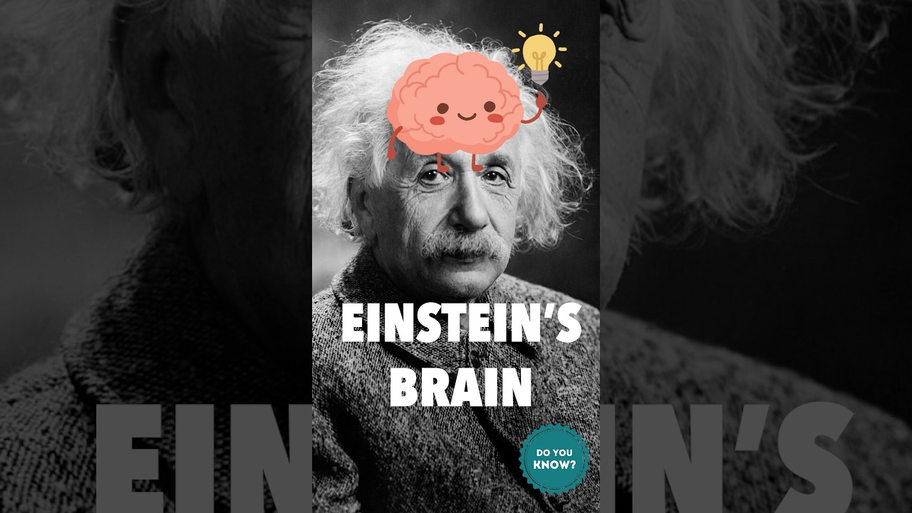 Albert Einstein's Brain #einstein #brain