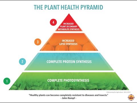 Plant Health Pyramid – John Kempf – BioStim