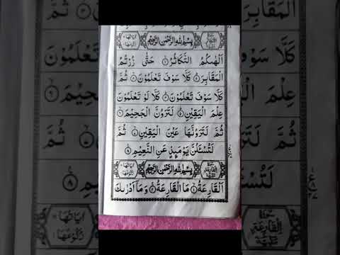 সুরা তাকাসুর surah takasur #shorts Alhakumuttakasur ##surah #quran #shorts_video #surah_takasur