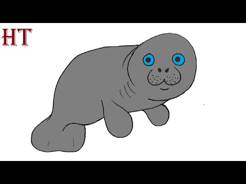Dugong Drawing easy step by step for Beginners – I'm Youtuber – Follow ...