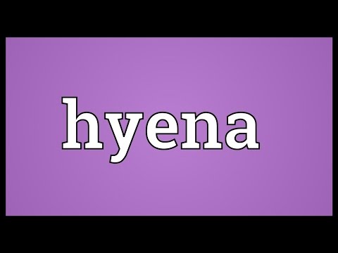 Hyena Meaning