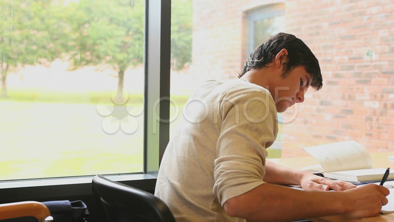 Students Doing Homework. Stock Footage
