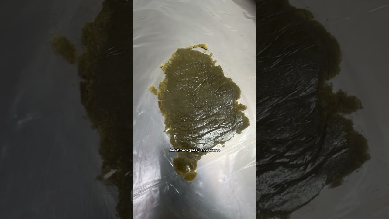 How Temple Balls Are Made 🍯🔥 | Dry Sift Hash in the Style of Frenchy Cannoli