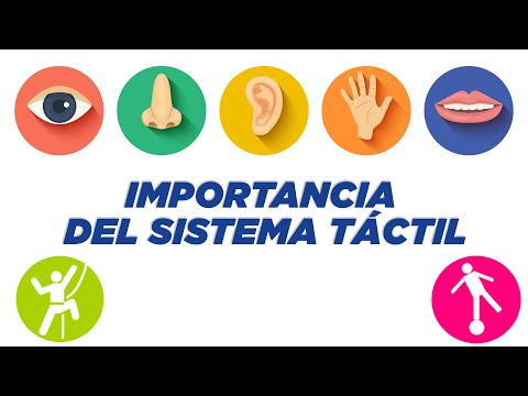 TOMi.digital - Codigos Auditivo o Gustativo o Olfativo o Táctil
