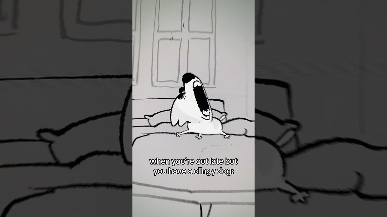 Coming home late to a clingy dog: