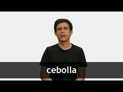 Traducción en inglés de “CEBOLLA” | Collins Diccionario español-inglés