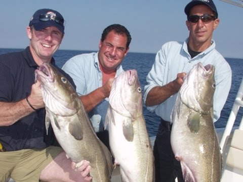 Cod Fishing - Stellwagen Bank, MA