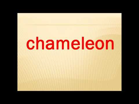 Chameleon Pronunciation and meaning