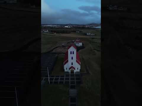 Birds and an old church near Reykjavik.
