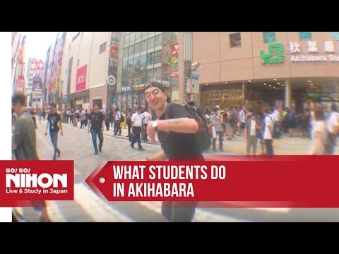 Student's life in Japan: Akihabara