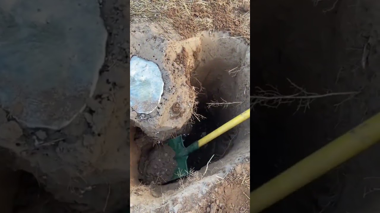 Eliminating red fire ants to remove the threat. #RedFireAnt #Decor #ArtPiece