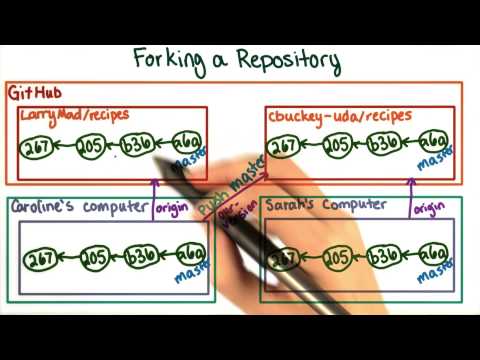 Learn Forking a Repository How to Use Git and GitHub - Mind Luster