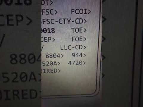 birth certificate name