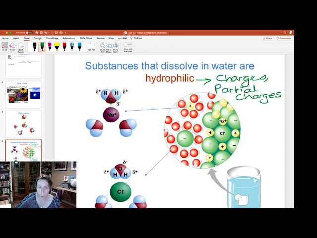 Understanding Hydrophilic Substances: The Science Behind Water's ...