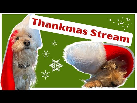 Steam Community :: Video :: It's Thankmas 2022! Let's Donate To Charity!