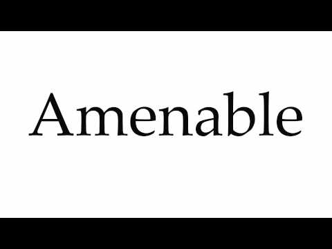 How to Pronounce Amenable