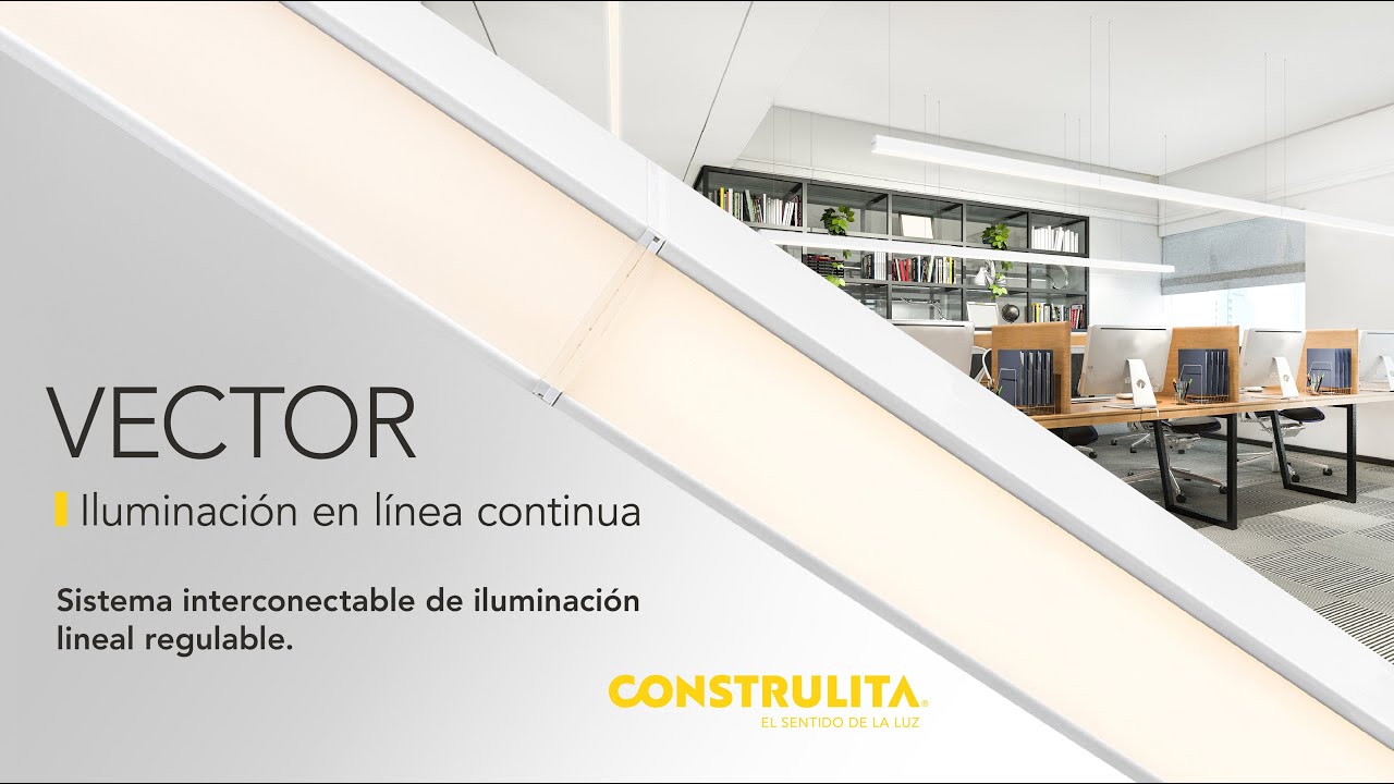 Conoce Vector | Iluminación continua ✨