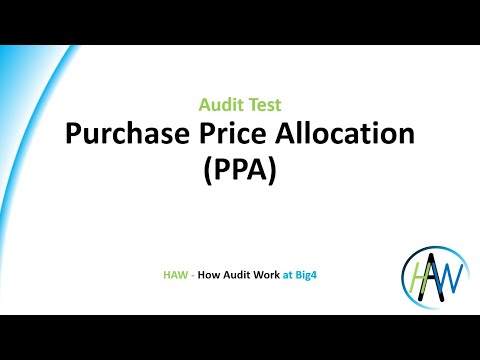 6.46 Audit Test - Purchase Price Allocation PPA - Preview