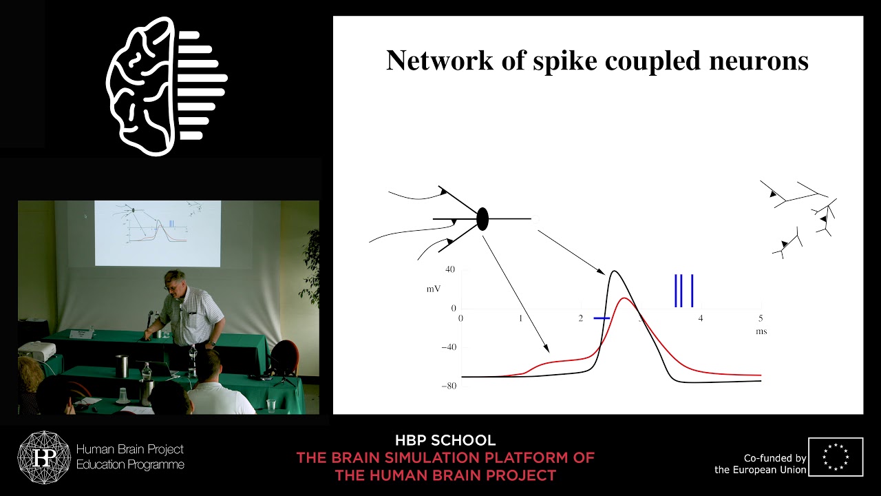 Hines, Michael - Using Neuron + Python for parallel simulation