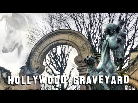 FAMOUS ANIMAL GRAVE TOUR - An Ode to Our Furry Friends