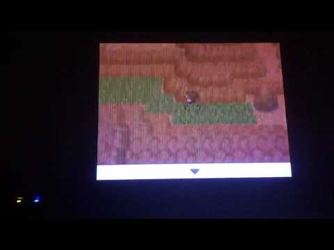 Pokemon Shiny Pionskora / Skorupi after 4,465 RE´s Shining Charm