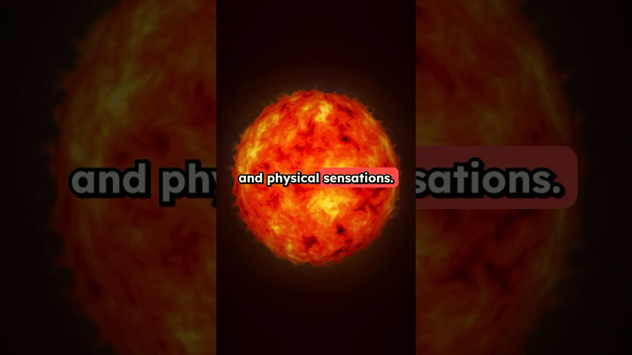 How Solar Storms Affect the Human Body #space #shorts #science