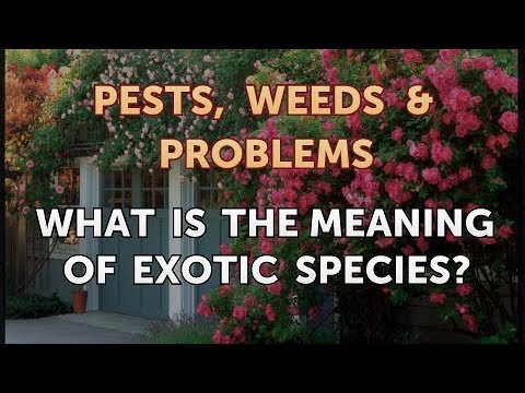 What Is the Meaning of Exotic Species?