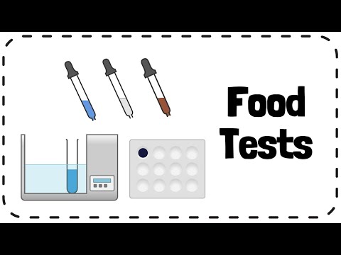 Food Tests (Starch, Sugar, Protein, Fat)