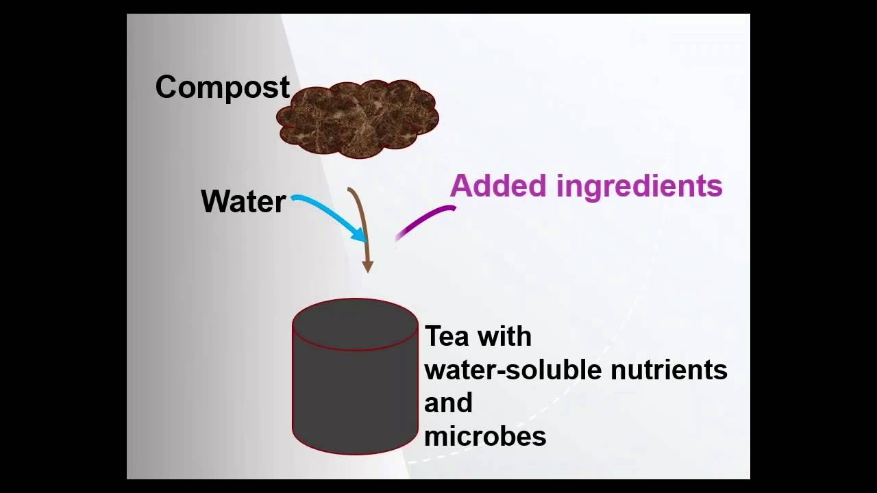 Making and Using Compost Teas