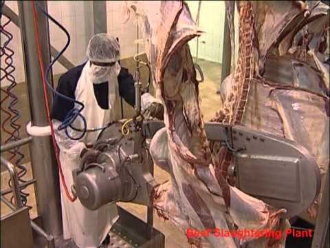 PK Livestock and Meat Company (English)